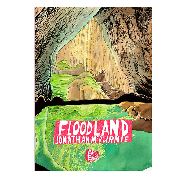 JONATHAN MCBURNIE | 'Floodland' | Illustrated book – NorthSite Store