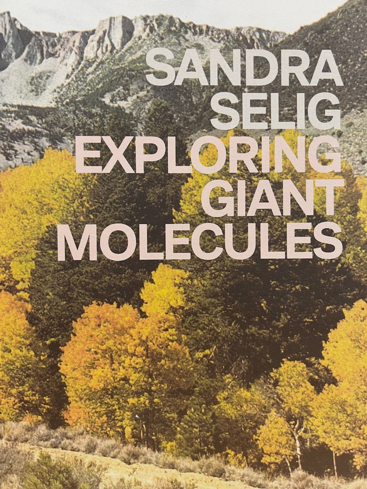Sandra Selig: Exploring Giant Molecules – NorthSite Store